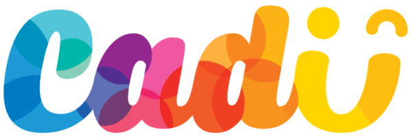 Cadii – Revolutionary carry-bag