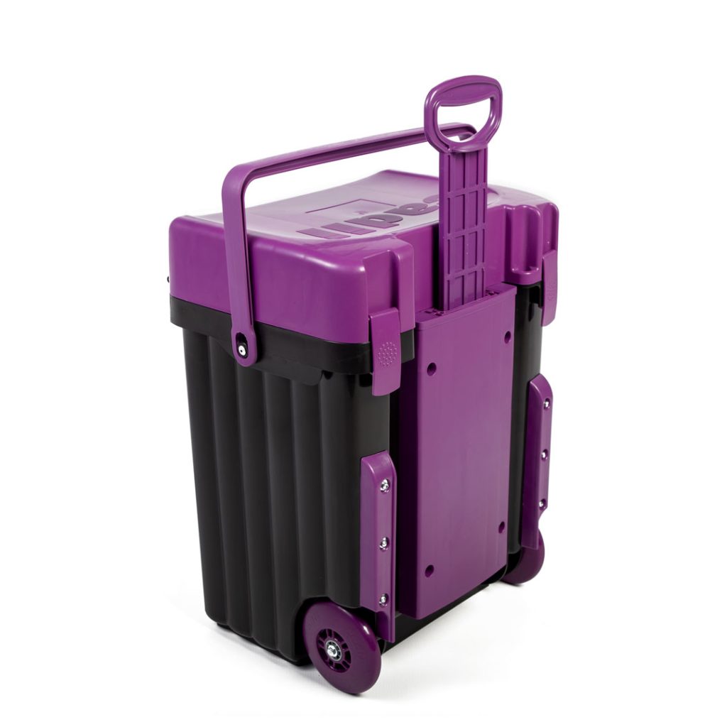 C06 Black/Purple – Cadii