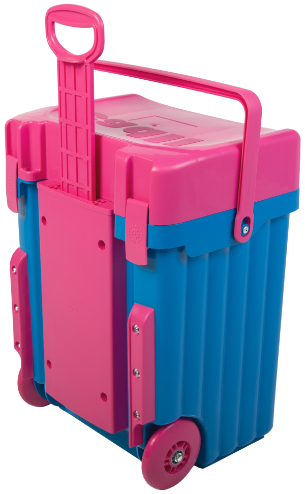 Cadii – Revolutionary carry-bag